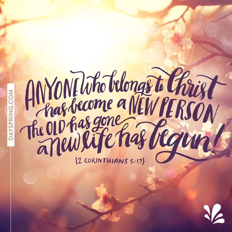 New Life In Christ
