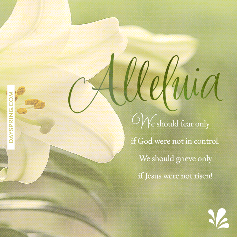 Easter Ecards | DaySpring