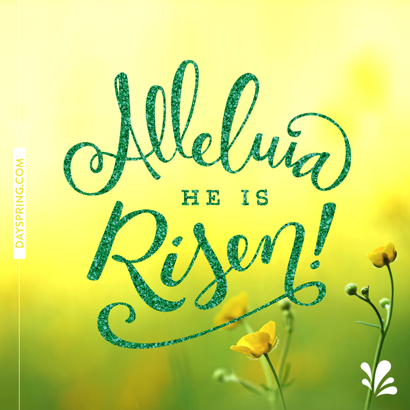 Easter Ecards | DaySpring